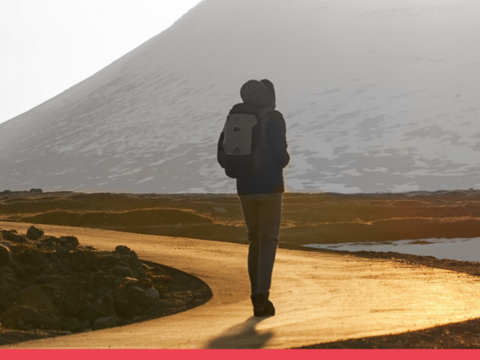 Leadership & Executive Development Consulting | RHR International